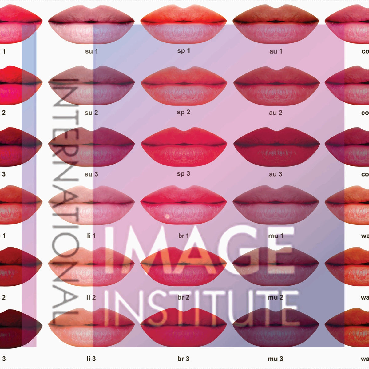 Lipstick Assessor – International Image Institute