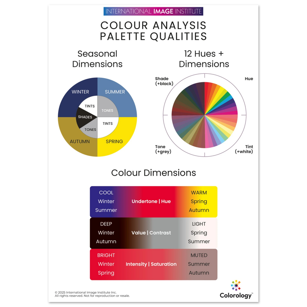 Colour Analysis Palette Qualities Poster – International Image Institute
